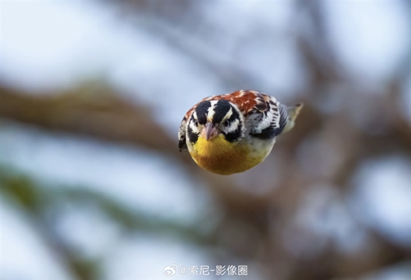 新一代全画幅旗舰微单！索尼A1M2正式发布——上海热线新闻频道